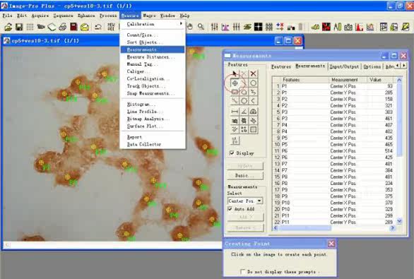 专业图像分析软件 Image pro plus 6.0 /ipp 6.0 送实用教程价格,详情介绍-960化工网 – 960化工网