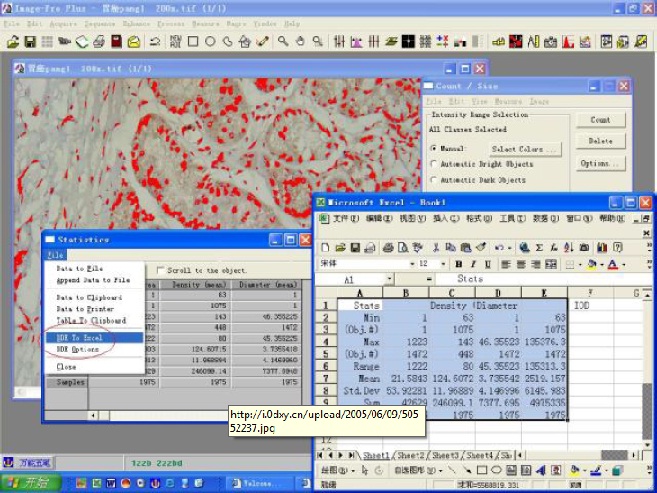 专业图像分析软件 Image pro plus 6.0 /ipp 6.0 送实用教程价格,详情介绍-960化工网 – 960化工网